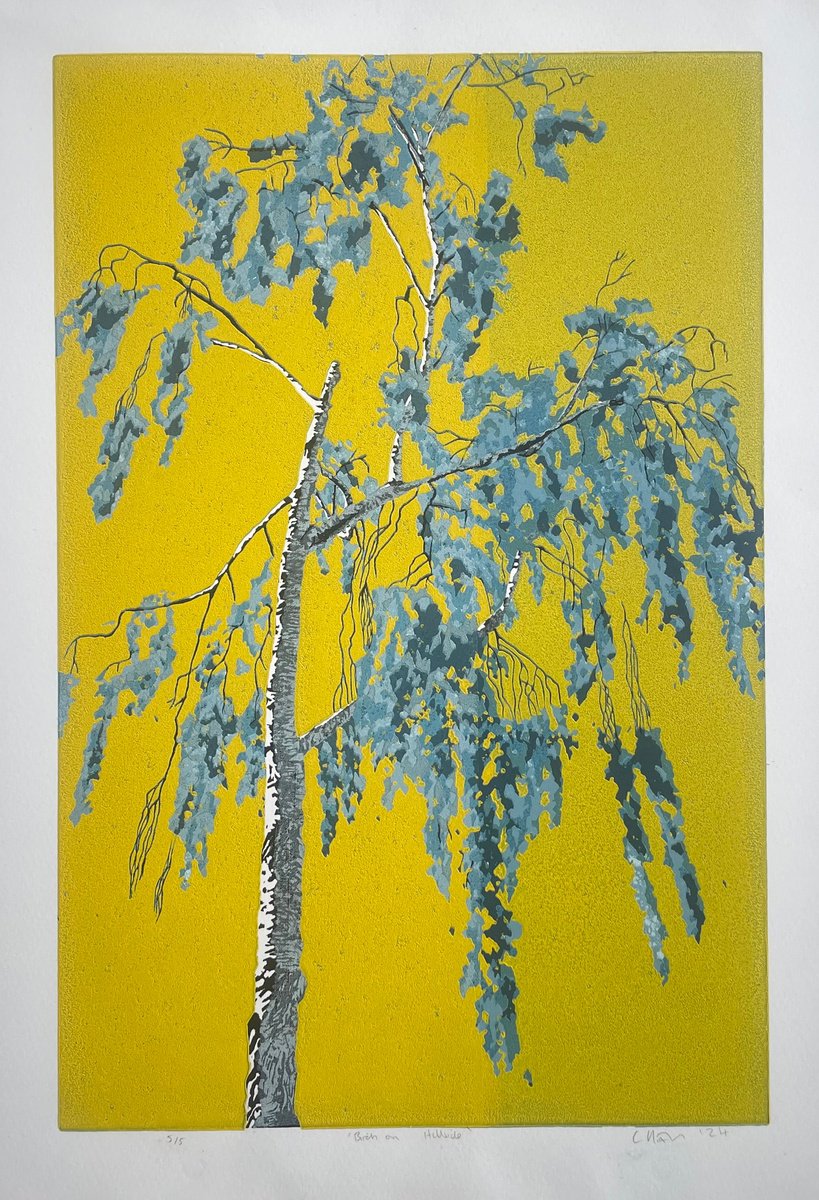 Birch Tree Linocut Linocut: C Staunton | Artfinder