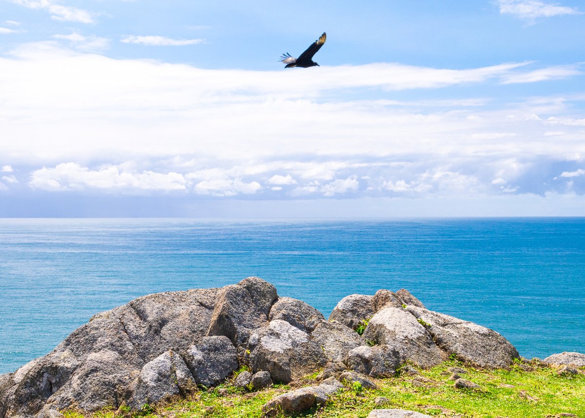 SEASCAPE Photograph by Rafael Campezato | Artfinder