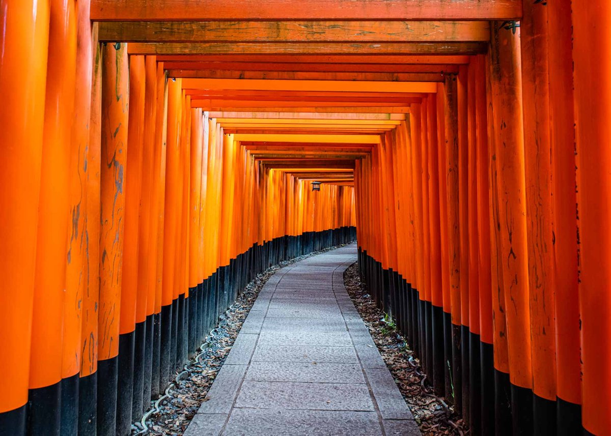 A Thousand Torri Gates L Photograph: Northlight Harbour | Artfinder