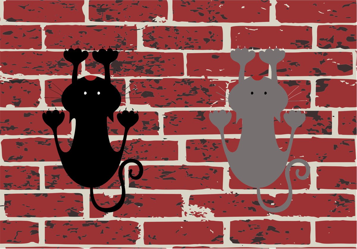 Sliding Cats Digital Art (Giclée) by Alistair Wells | Artfinder