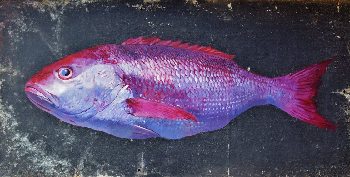 Red Snapper - Slate Fish Painting Acrylic painting: Abi Whitlock ...