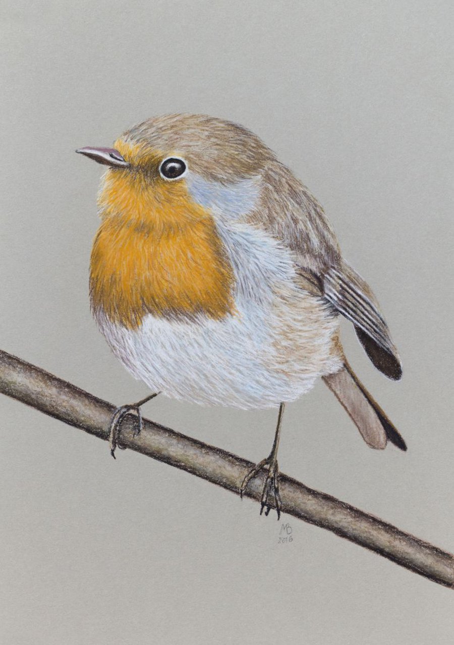 Original pastel drawing "European robin" Pastel drawing by Mikhail ...