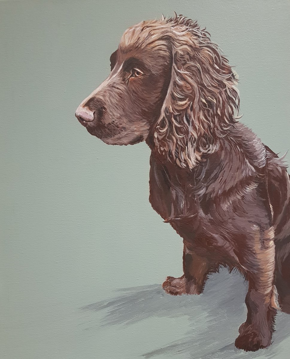 Rugger the Chocolate Cocker Spaniel Acrylic painting by Sally Burrow ...