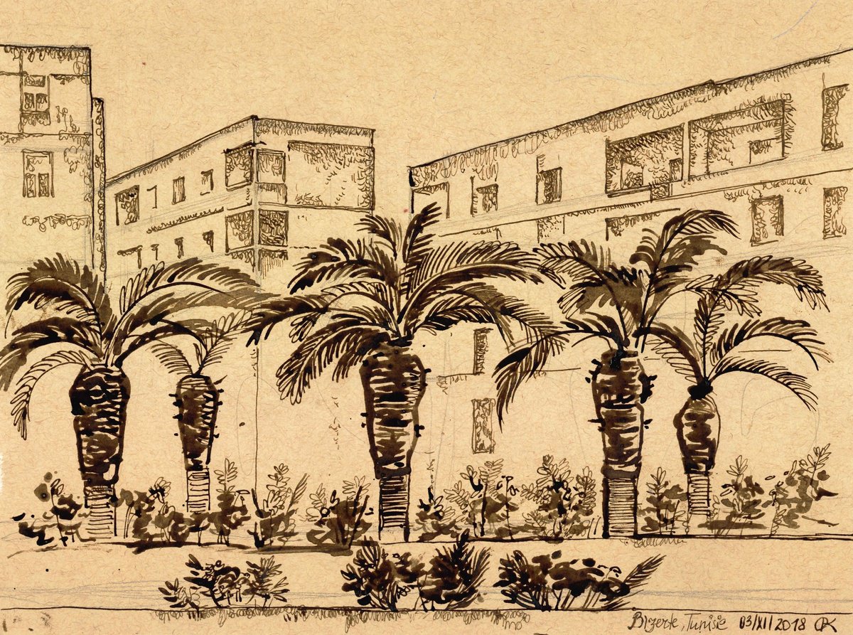 Bizerte. Palm Trees Ink drawing: Olga Kataeva-Rochford | Artfinder
