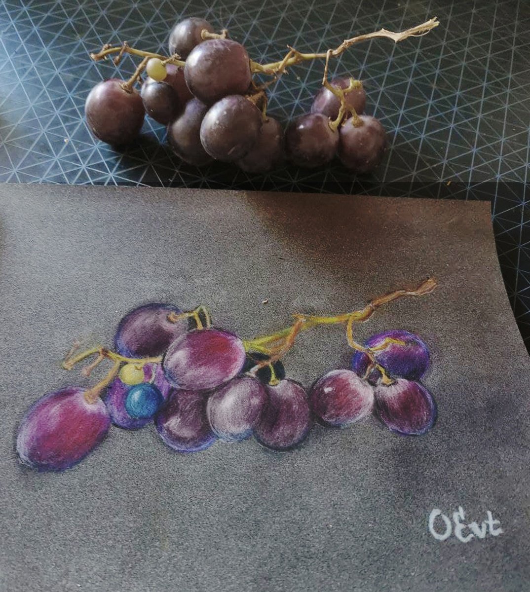Sicilian black grapes Pencil drawing: Oksana Siciliana | Artfinder
