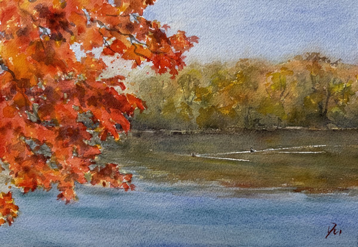 Princeton autumn colour Watercolour: Shelly Du | Artfinder