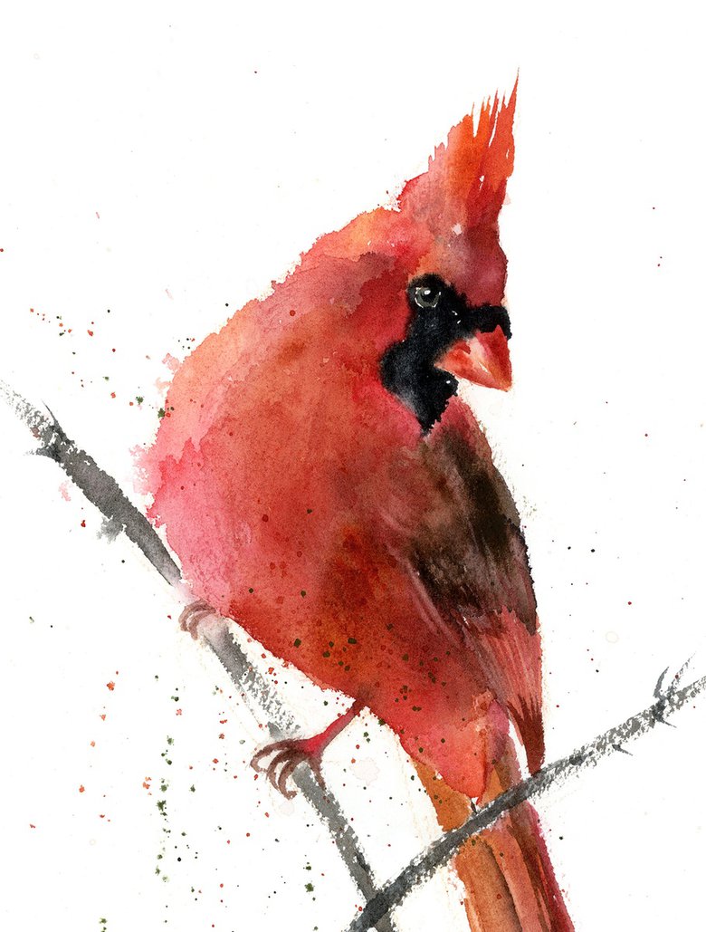 Watercolor Cardinal Watercolour: Olga Tchefranov (Shefranov) | Artfinder