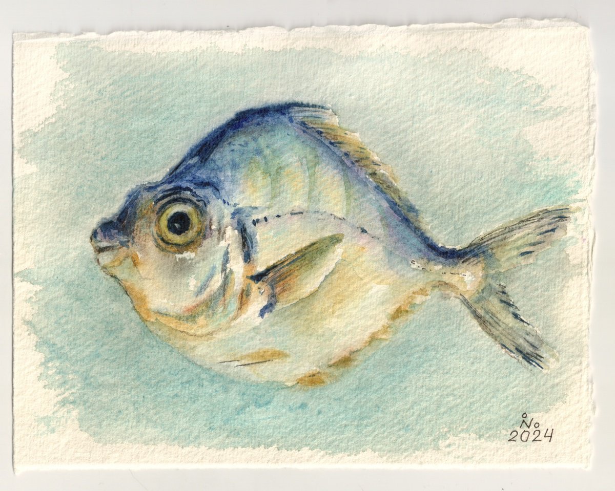 Mullan Fish Watercolour by Ilona Borodulina | Artfinder
