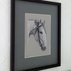 White Horse (2017) Pastel drawing by Lee Fidler | Artfinder