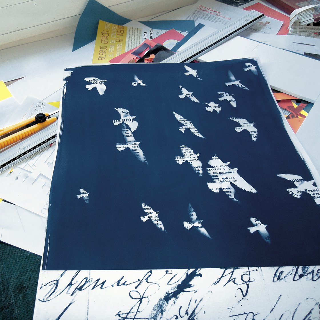 Cyanotype 02 Birds Print: Manel Villalonga | Artfinder