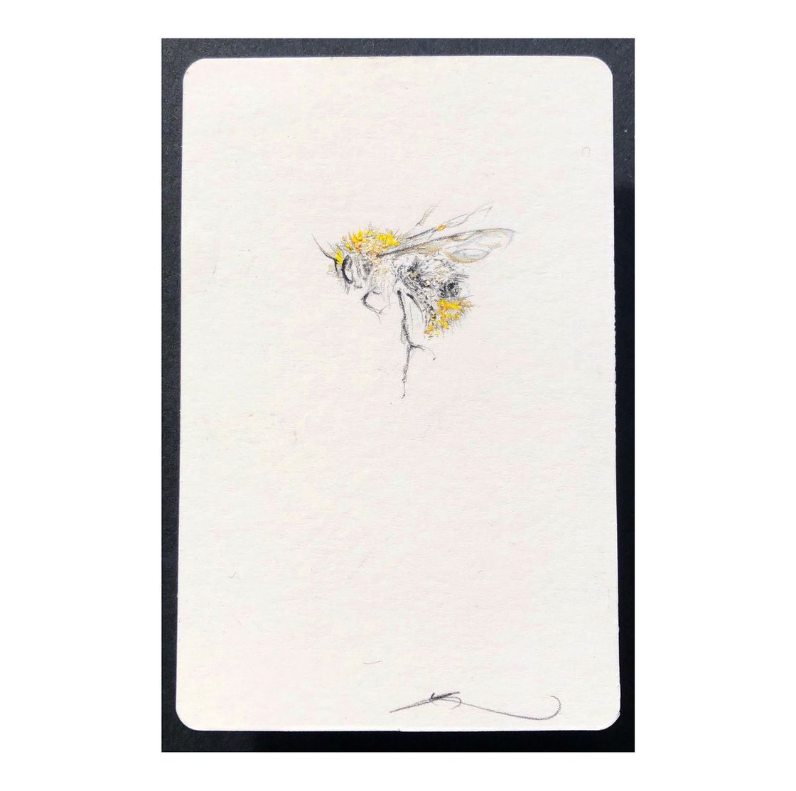 BEE PORTRAITS ON WHITE PLAYING CARDS (Carder Bee) Acrylic painting by ...