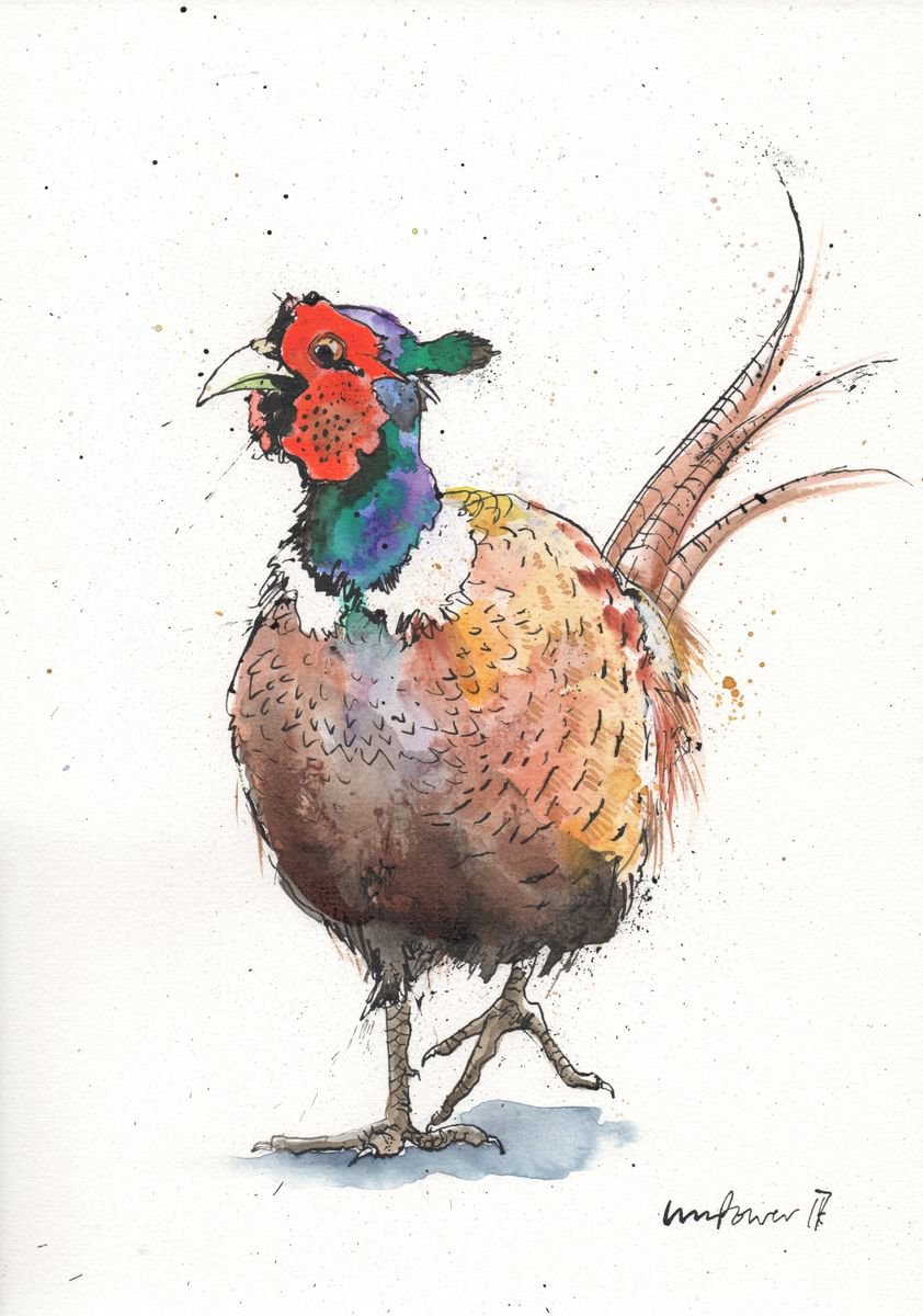 Pheasant Sauntering Ink drawing by Luci Power | Artfinder