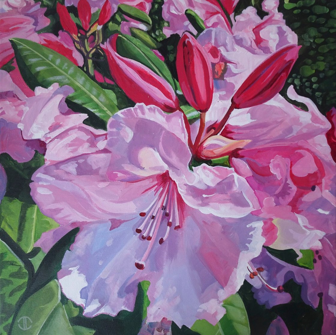 Early Pink Rhododendrons Acrylic painting by Joseph Lynch | Artfinder