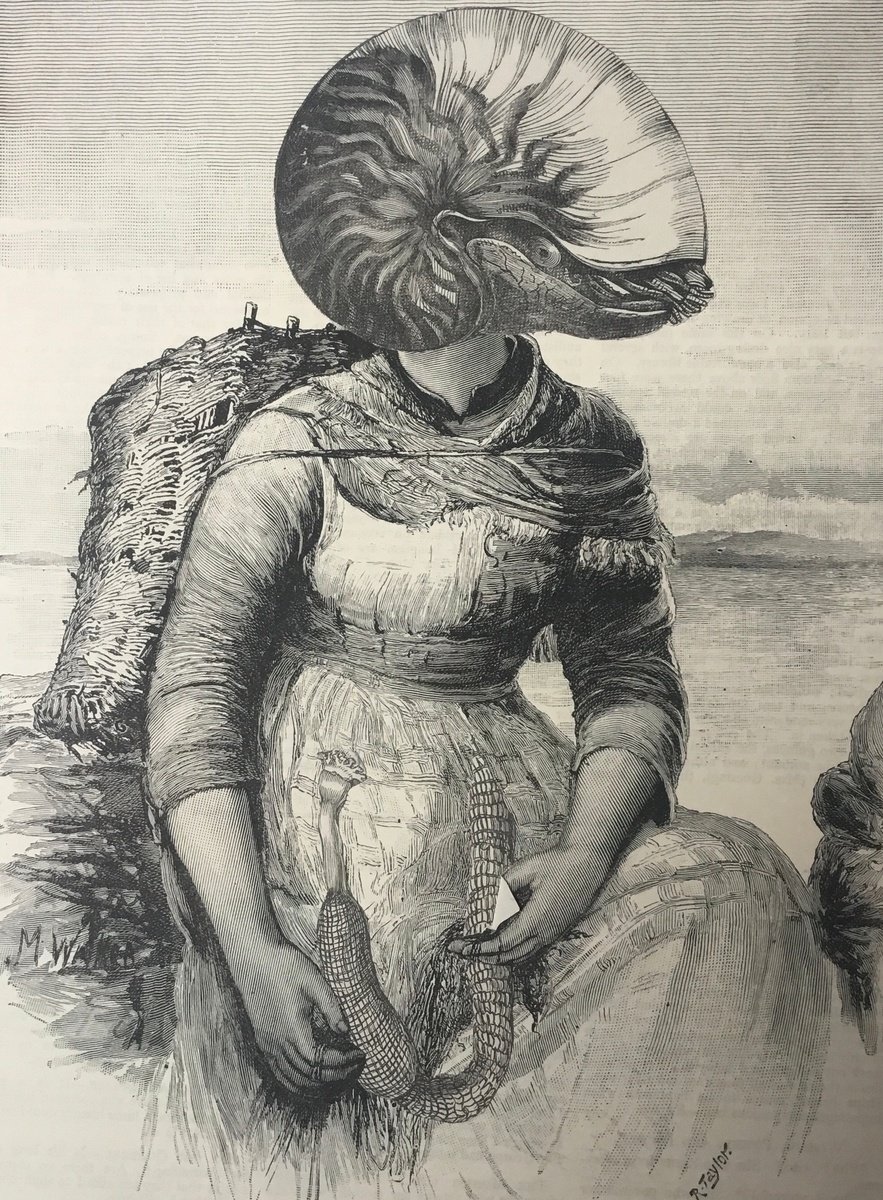 At the quay Collage: Tudor Evans | Artfinder