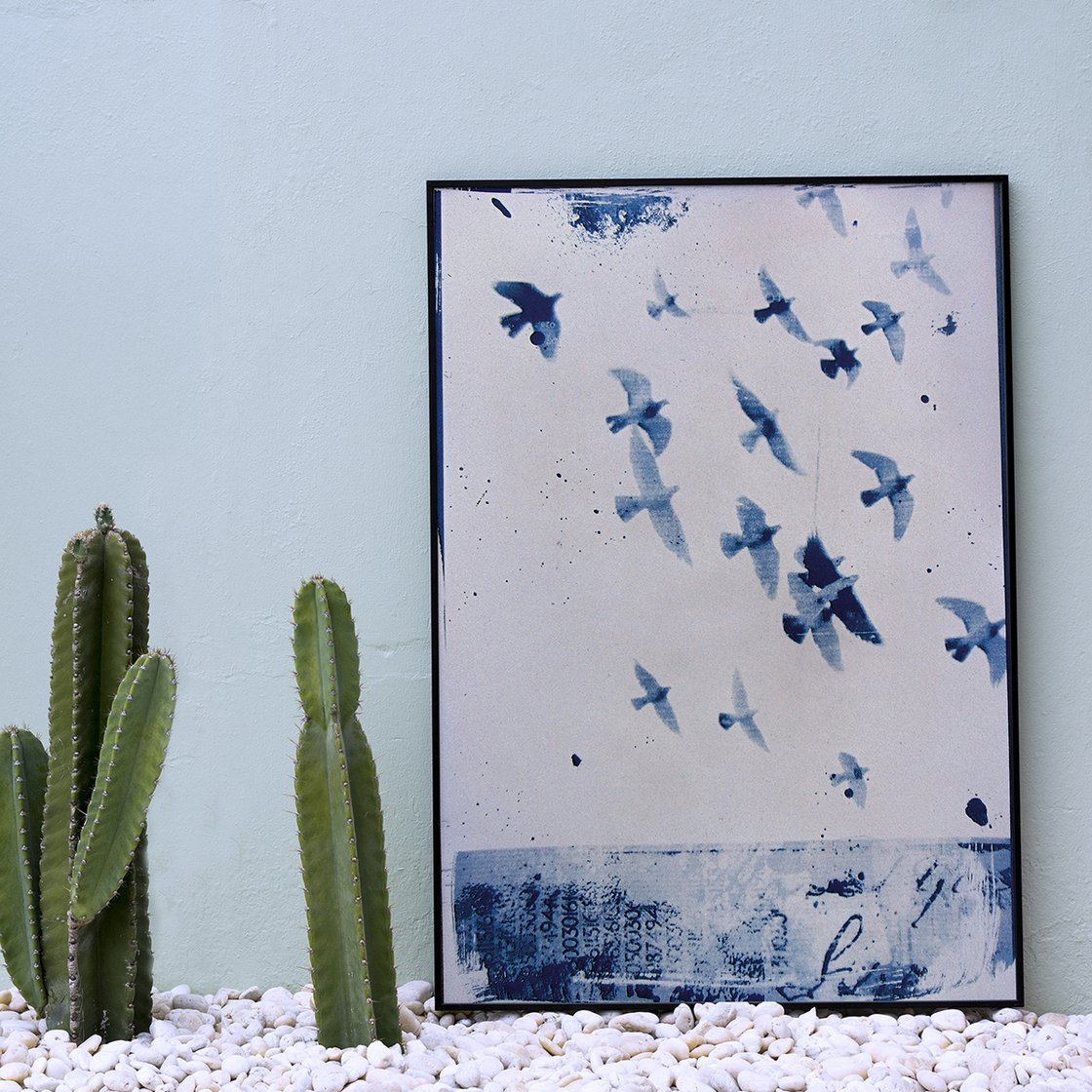 Cyanotype_03_A3_Birds Print by Manel Villalonga | Artfinder