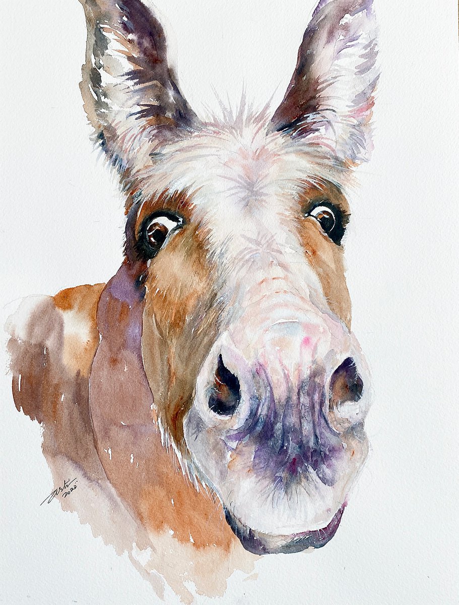 Freddy_ Donkey Watercolour by Arti Chauhan | Artfinder