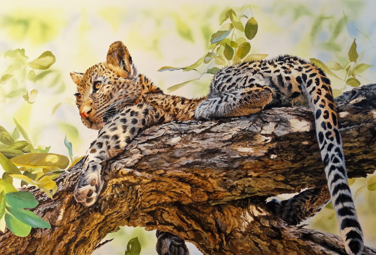 Leopard cub Acrylic painting by Julian Wheat | Artfinder