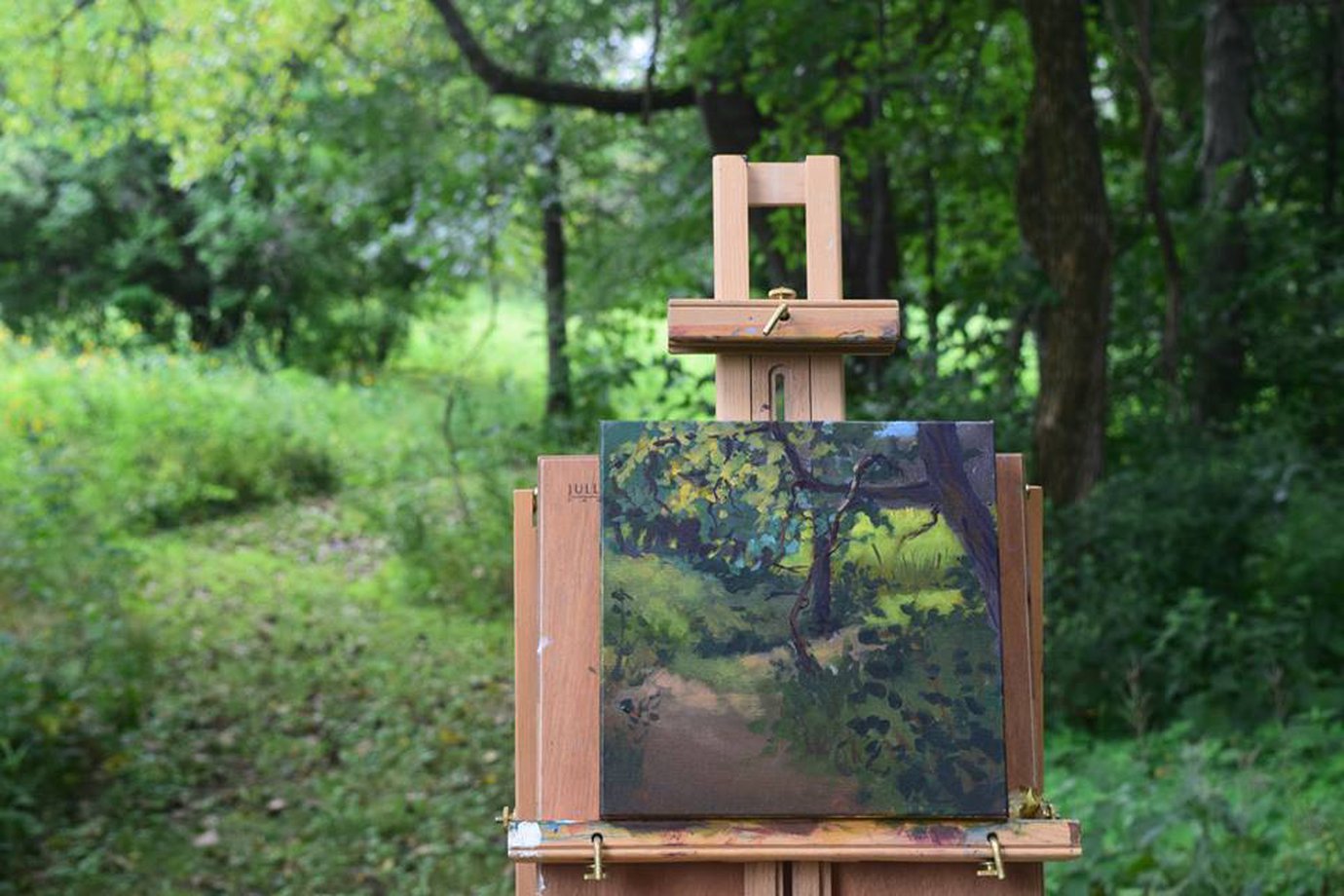 Sri Rao - Latest from Artist Studio | Artfinder