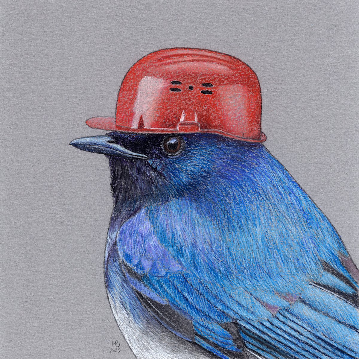 Blue-and-white flycatcher Pastel drawing by Mikhail Vedernikov | Artfinder