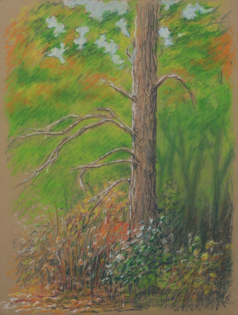 John Fleck Original Art Works