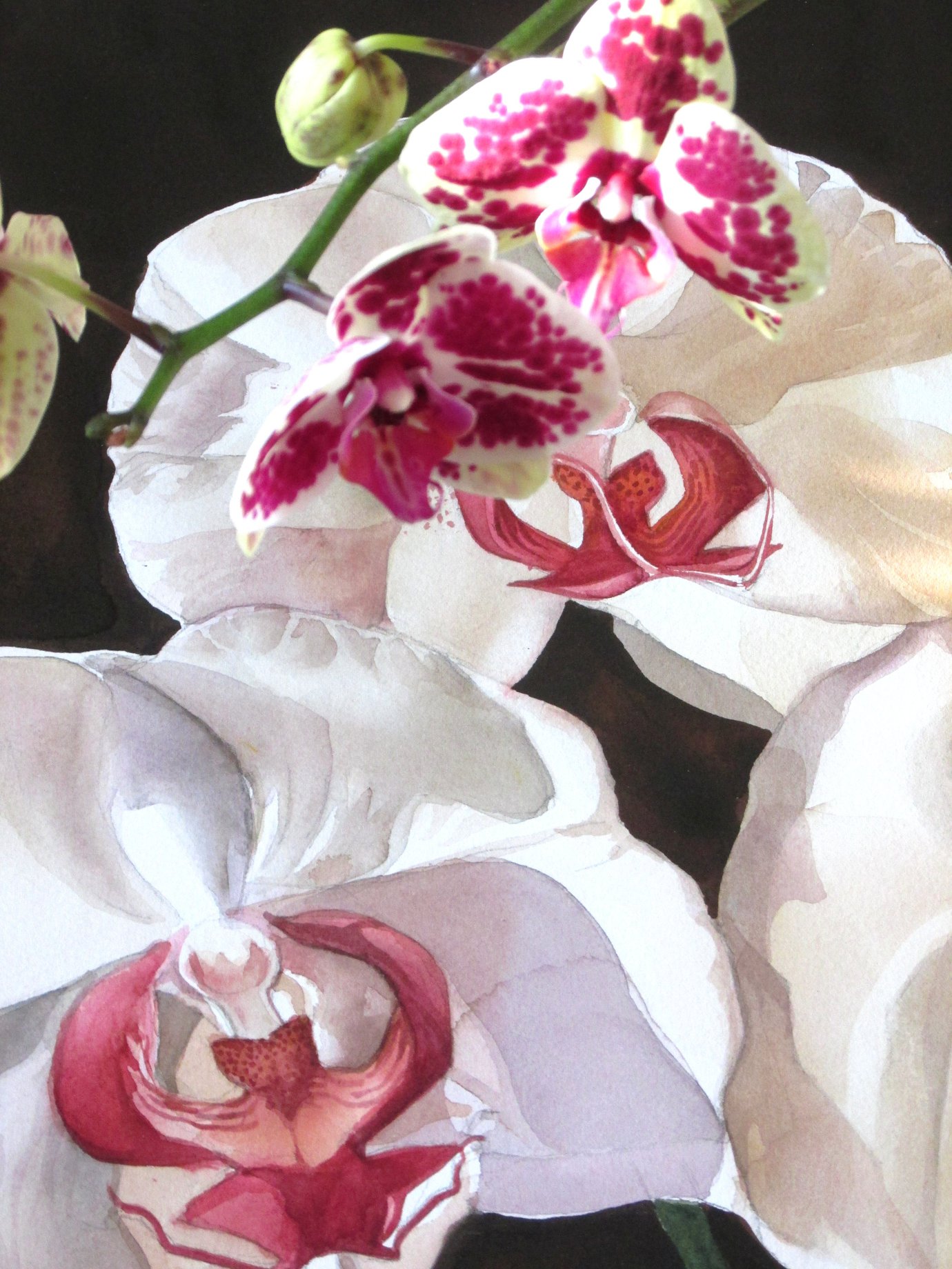 Alfred Ng - Latest from Artist Studio | Artfinder