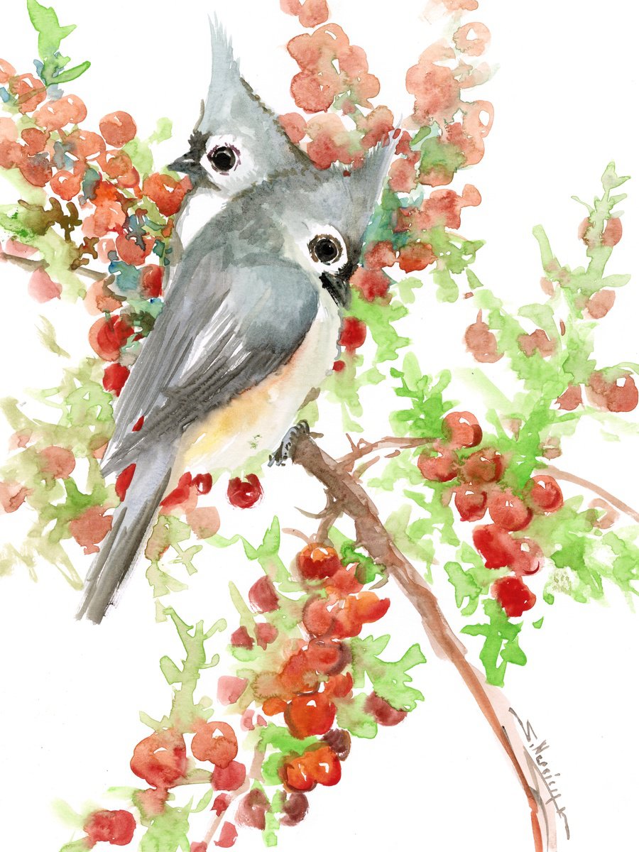 Titmouse BIrds and Berries Watercolour: Suren Nersisyan