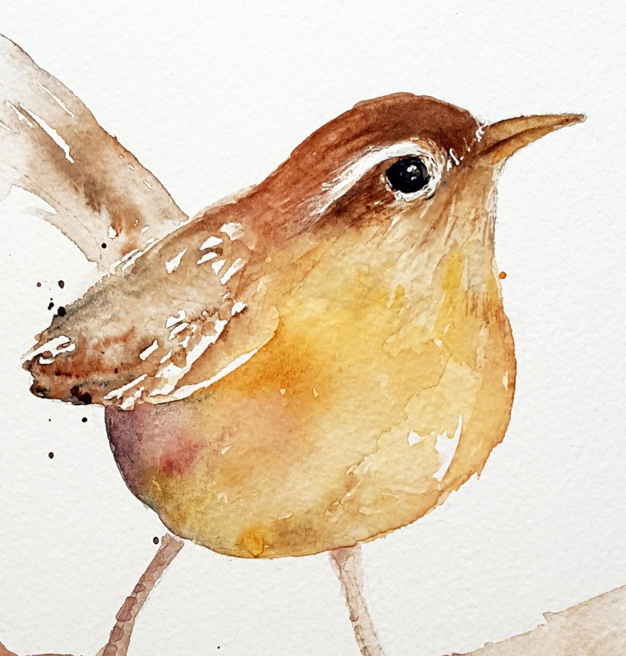 Wren_Glen Watercolour by Arti Chauhan | Artfinder