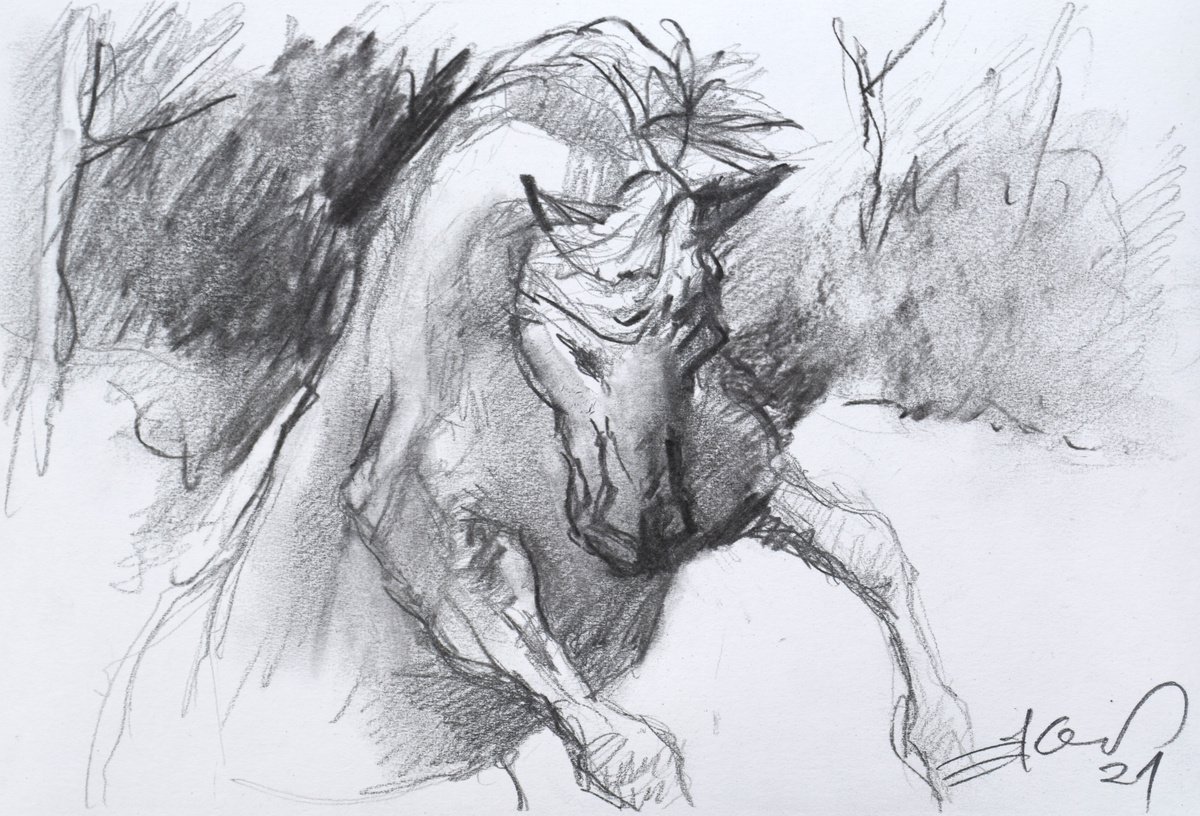 Prancing horse IIa Pencil drawing: Goran Žigolić Watercolors | Artfinder
