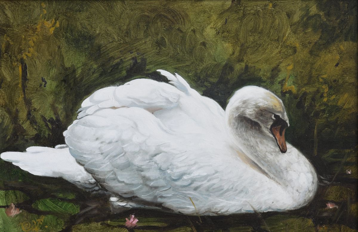 Swan Oil Painting