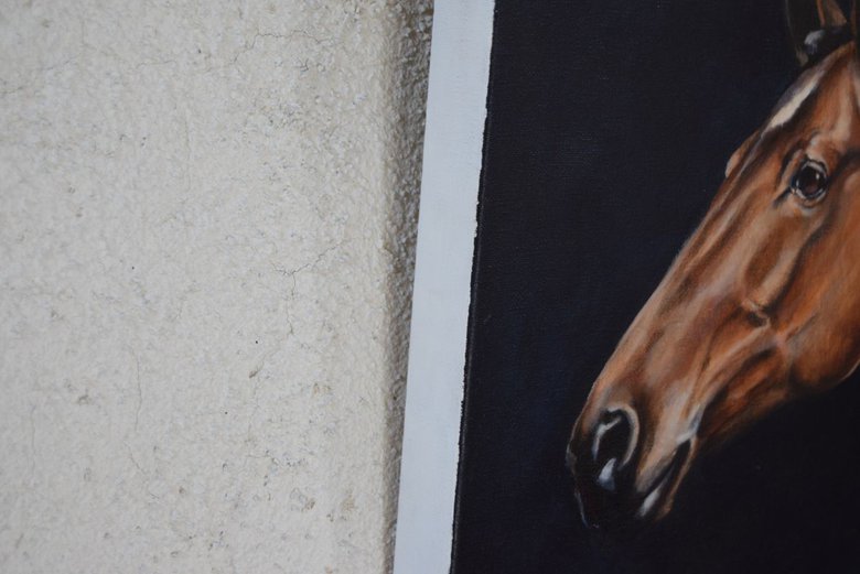 Study of a hunter - Trakehner Oil painting: Karen Sloan | Artfinder