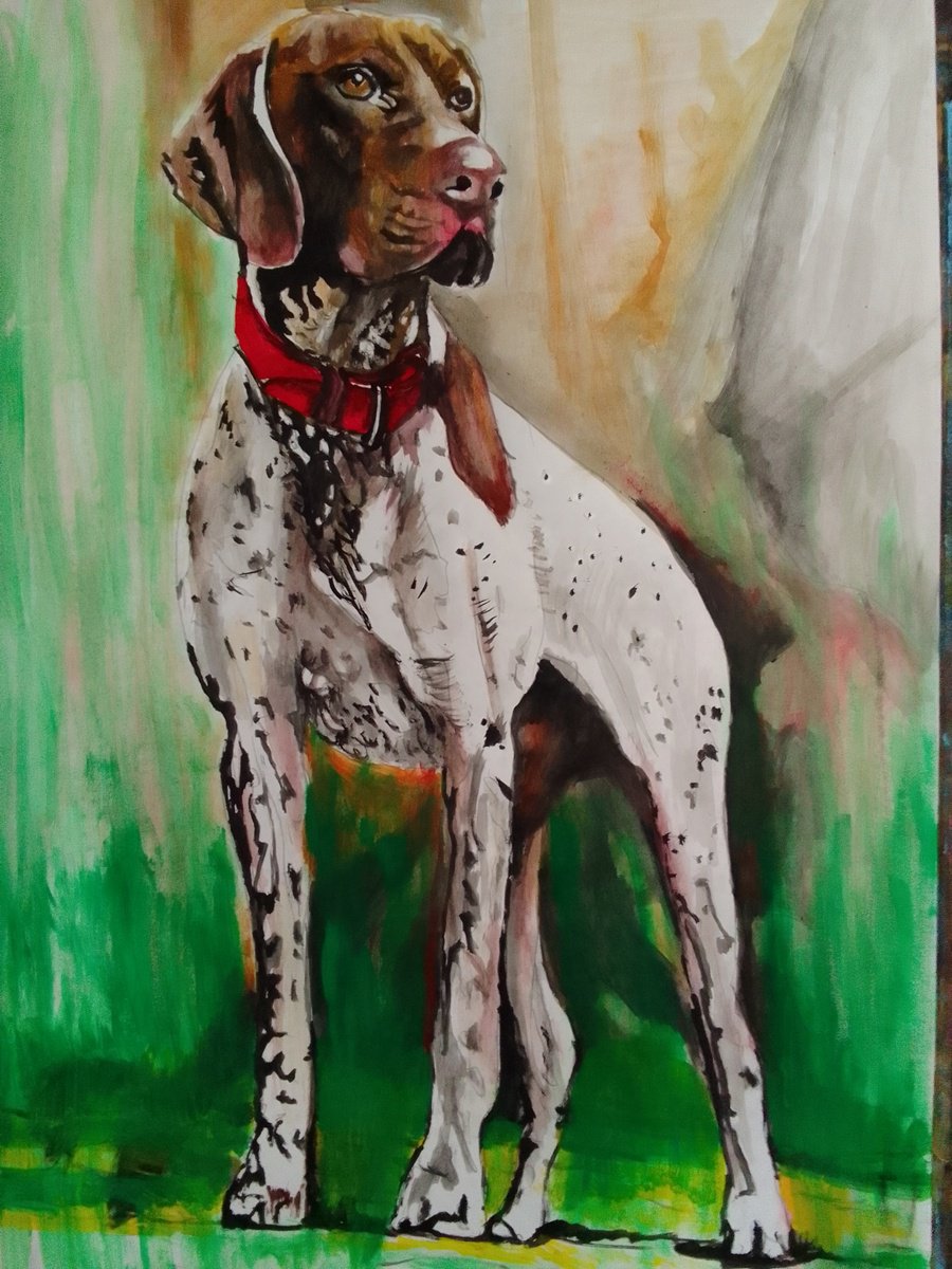 German Shorthaired Pointer Acrylic painting: Soso Kumsiashvili | Artfinder