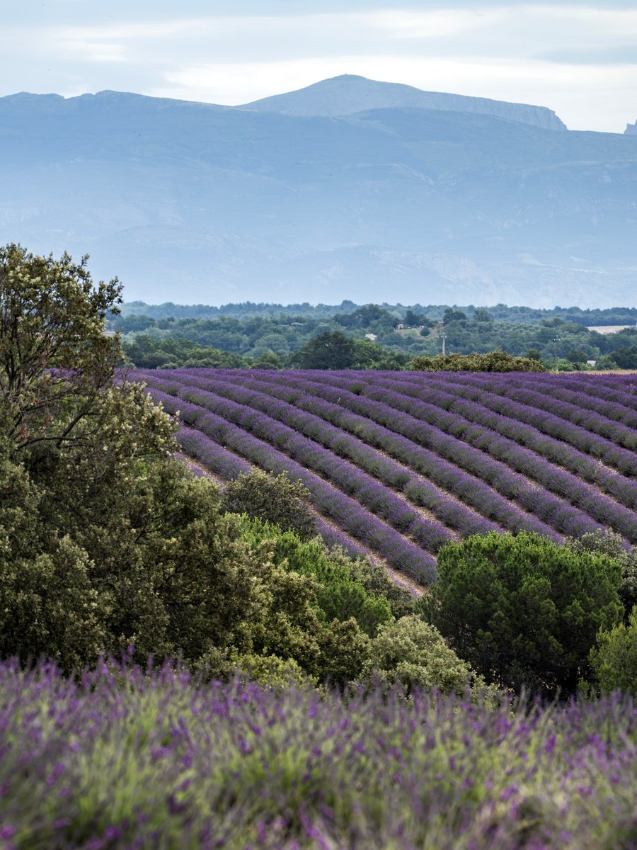 THE VIOLET HORIZON Photograph: Fabio Accorrà | Artfinder