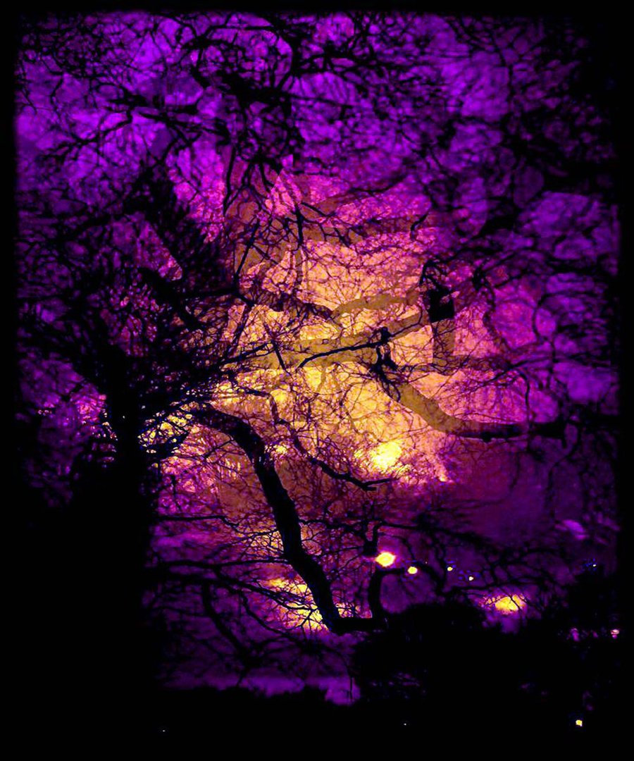 Ghost Trees Monoprint by Hugh Mooney | Artfinder