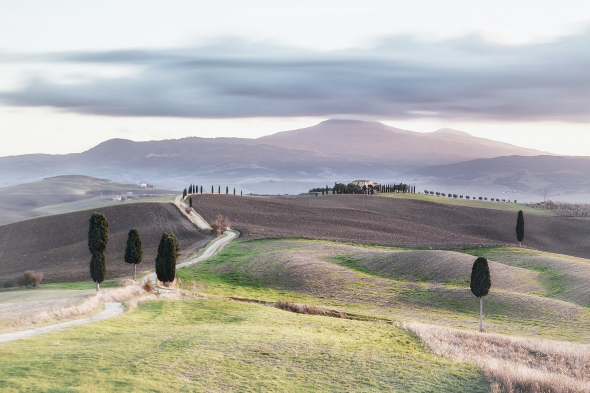 Gladiator's Elysian fields (studio 2) Photograph by Karim Carella ...