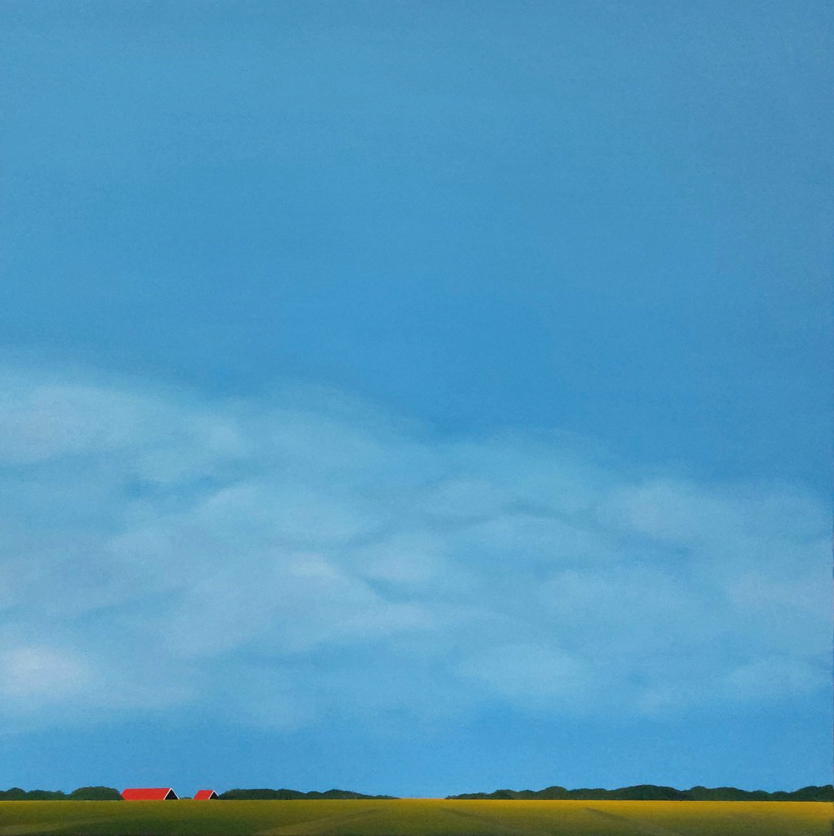 Zeelandic Light (Zeeuws Licht) Acrylic painting: Nelly van ...