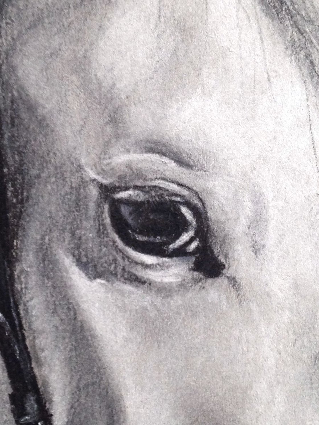 White Horse Pastel drawing by Lee Fidler | Artfinder