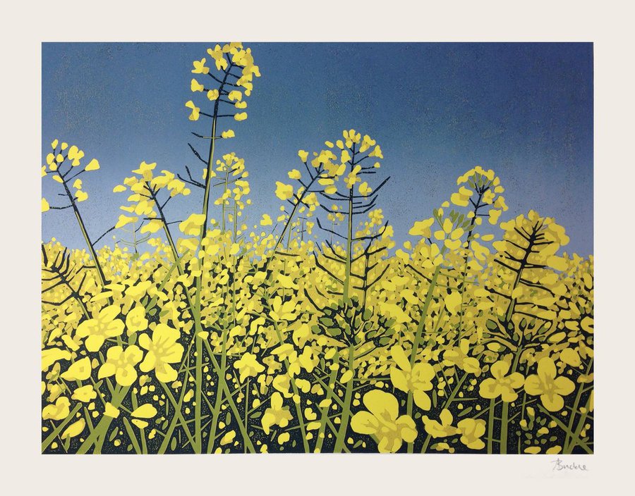 Sunshine Fields Linocut: Alexandra Buckle | Artfinder