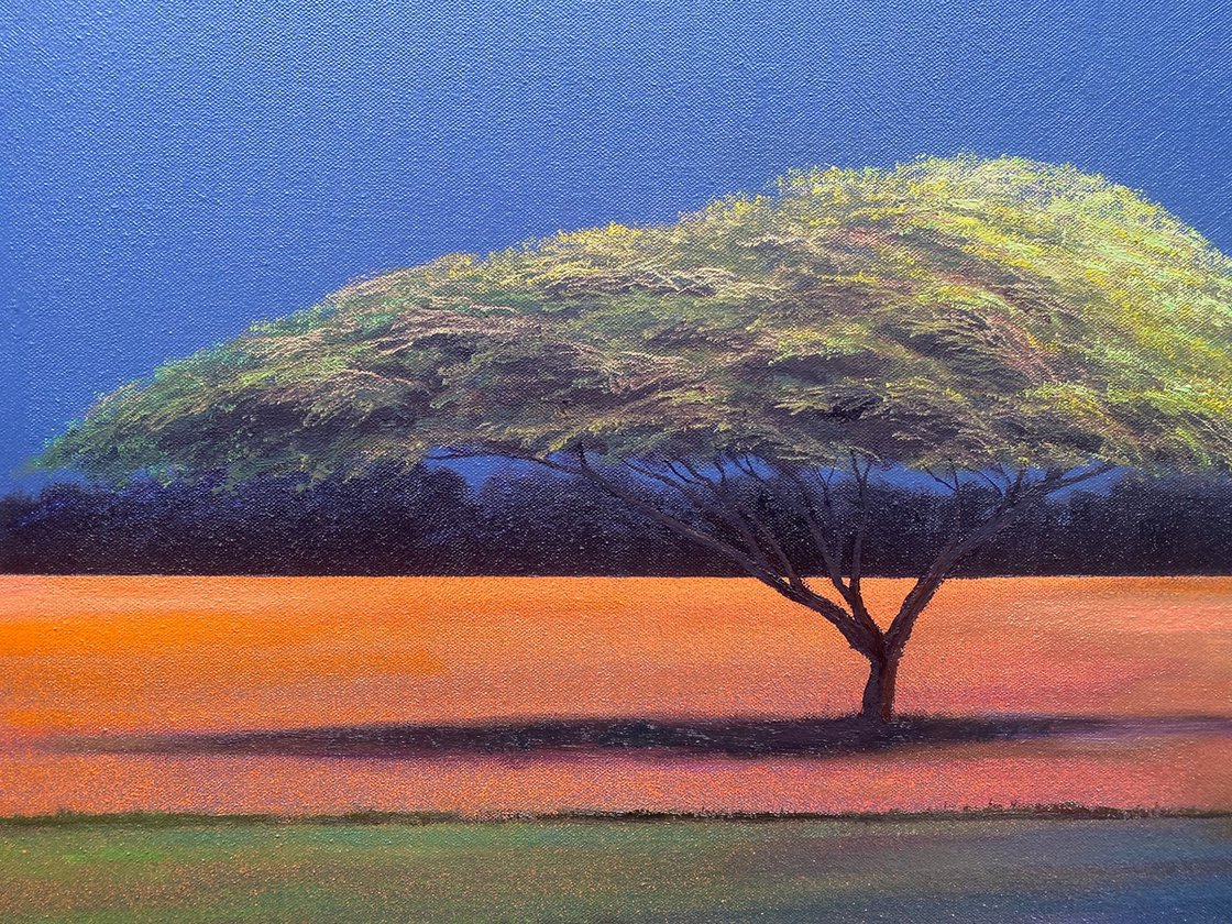 "Acacia Tree in a Surreal Landscape III" Large landscape Oil Painting ...