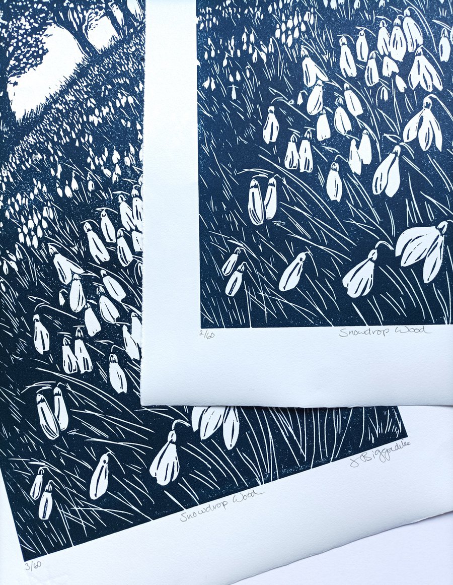 Snowdrop Wood Linocut: Jo Biggadike | Artfinder