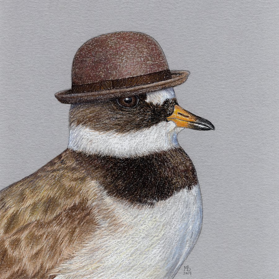 Common ringed plover Pastel drawing: Mikhail Vedernikov | Artfinder