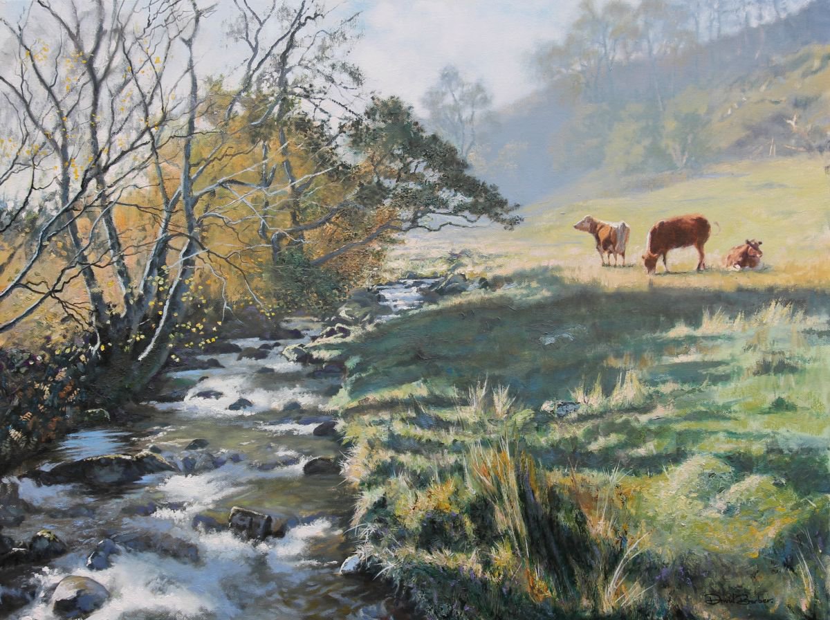 Sunlit Pasture Oil painting by David Barber | Artfinder