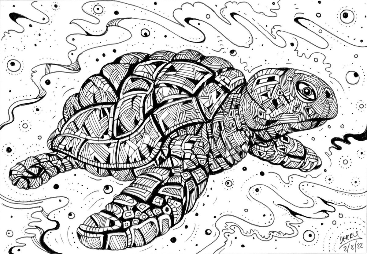 Sea Turtle Ink drawing by Spencer Derry | Artfinder