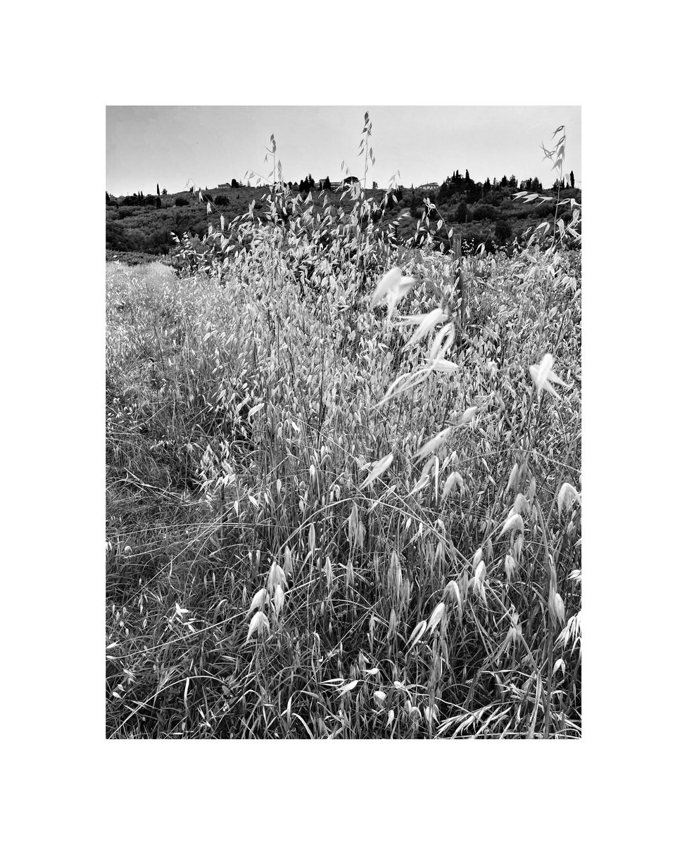 NT#141 nature V Print: Mattia Paoli | Artfinder