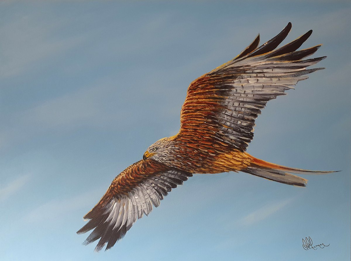 At Home In The Sky Acrylic painting: Joseph Charman | Artfinder