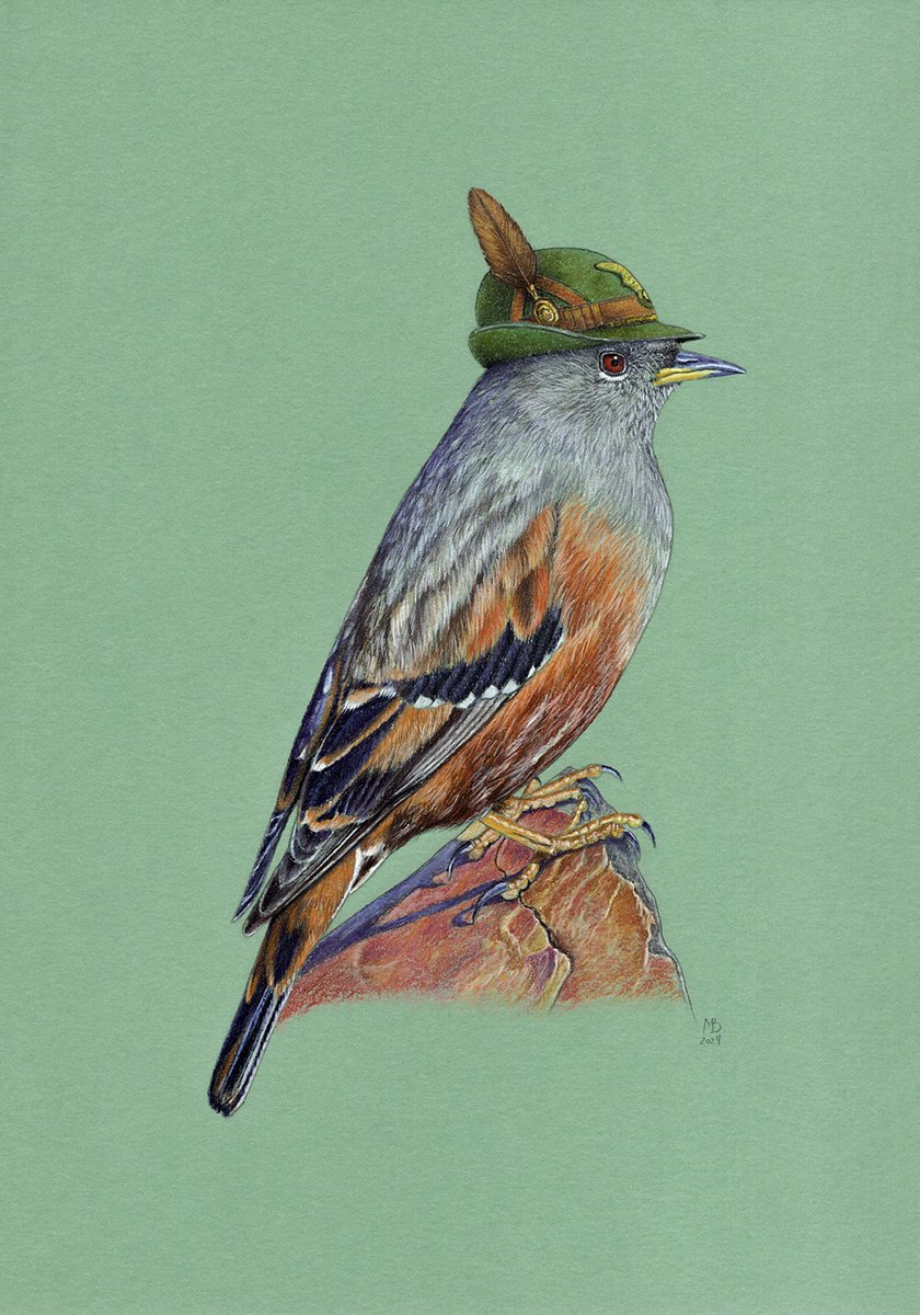 Alpine accentor Pastel drawing: Mikhail Vedernikov | Artfinder