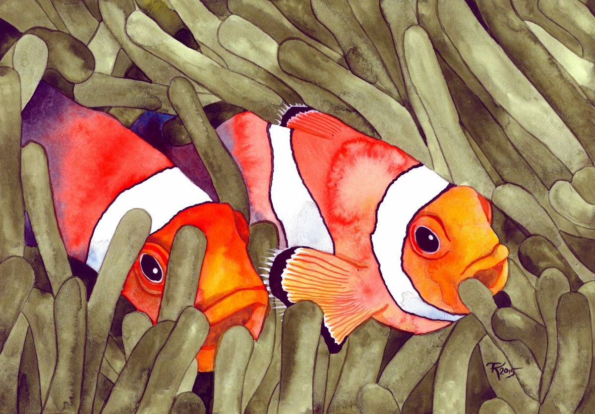 Clown Fish Watercolour by Terri Kelleher | Artfinder