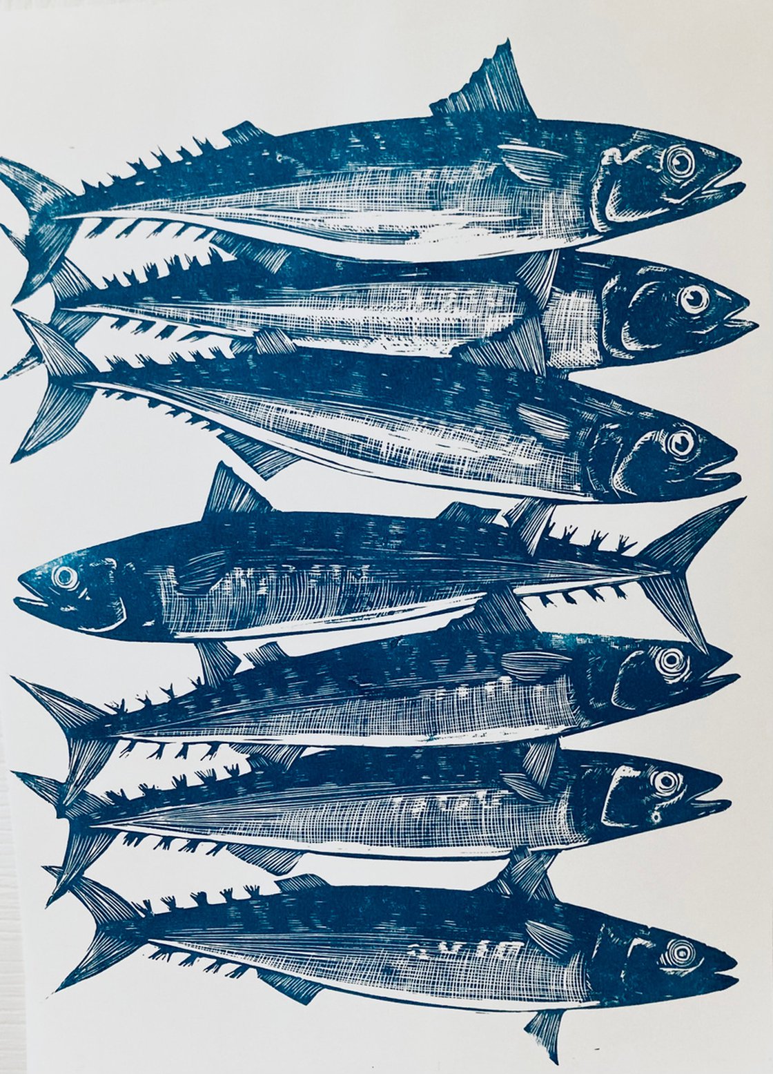 Holy Mackerel! Limited Edition Linocut Print Linocut by Amy Cundall ...
