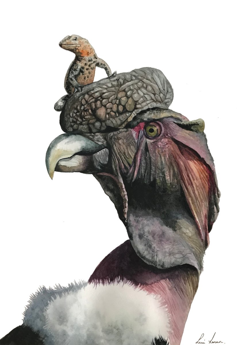 A Condor Moment Watercolour: Lisa Lennon | Artfinder