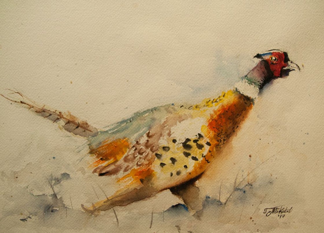 The Pheasant Watercolour by Tomasz Mikutel | Artfinder