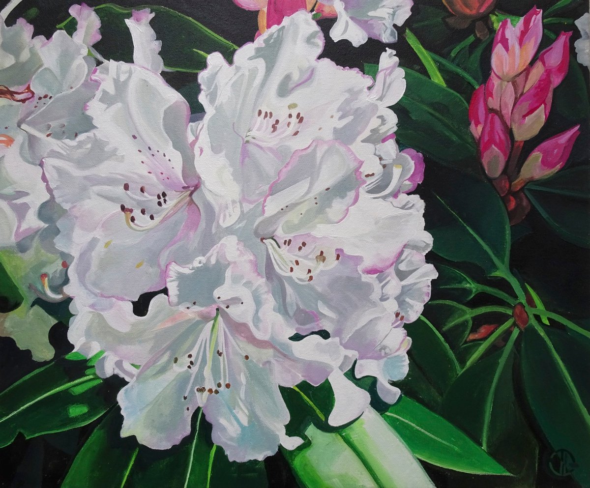 Early Rhododendrons Acrylic painting by Joseph Lynch | Artfinder